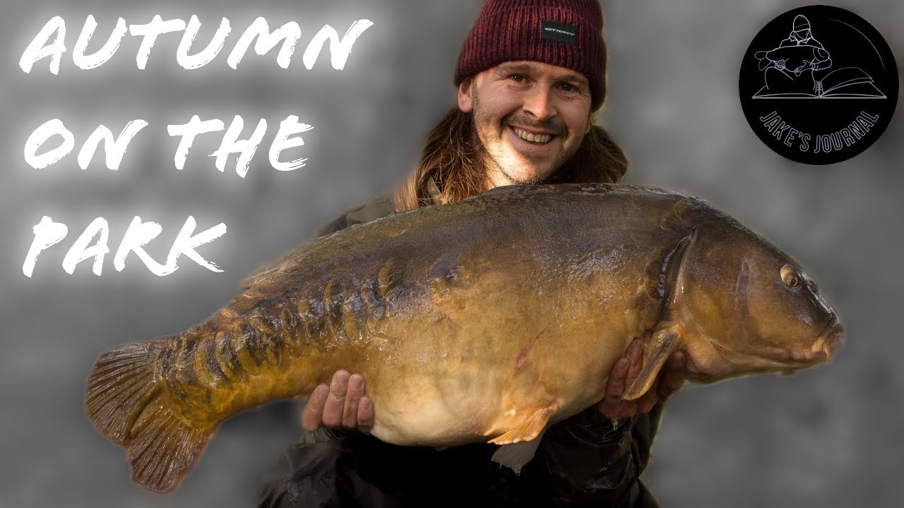 AUTUMN ON THE PARK | BIG UK CARP FISHING | AUTUMN 2022 - YouTube