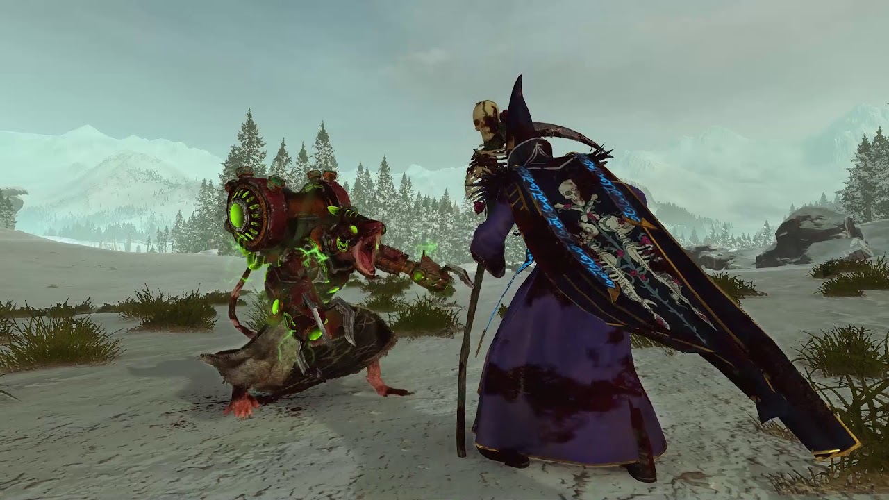 Warlock Master VS Amethyst Wizard | Total War: Warhammer 2 - YouTube