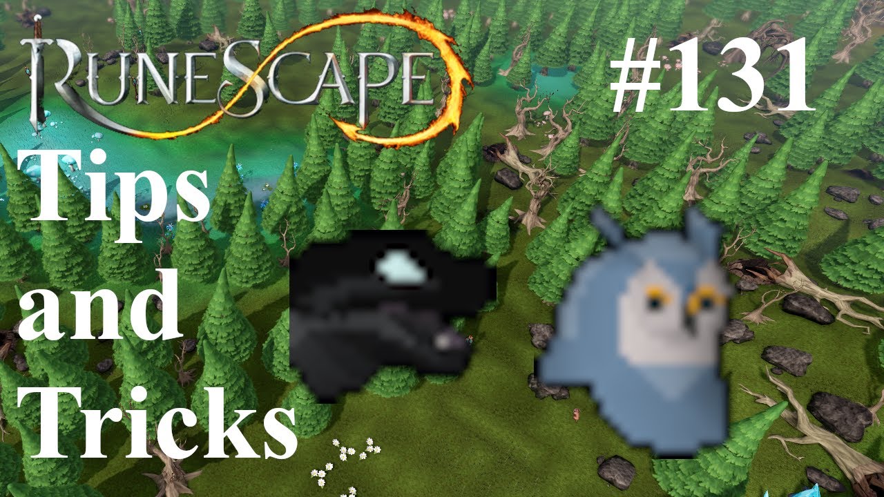 How to Summon your Pets : RuneScape TIps and Tricks 131 - YouTube