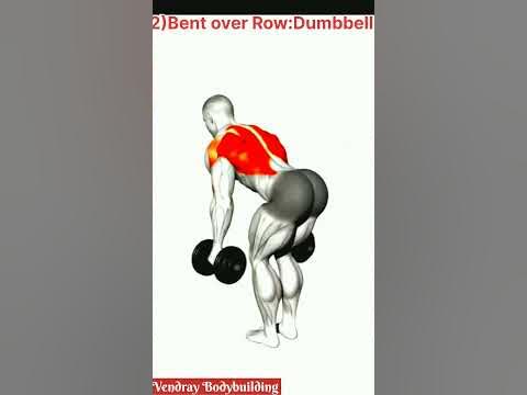 Top 5 Back Workout (Only Dumbbell) - YouTube