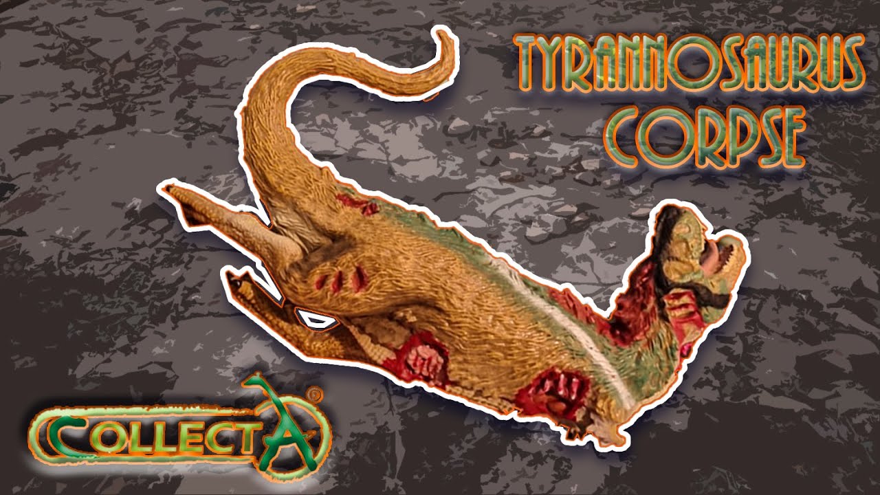 Unboxing Tyrannosaurus Rex Corpse – COLLECTA Dinosaur Figure Review ...