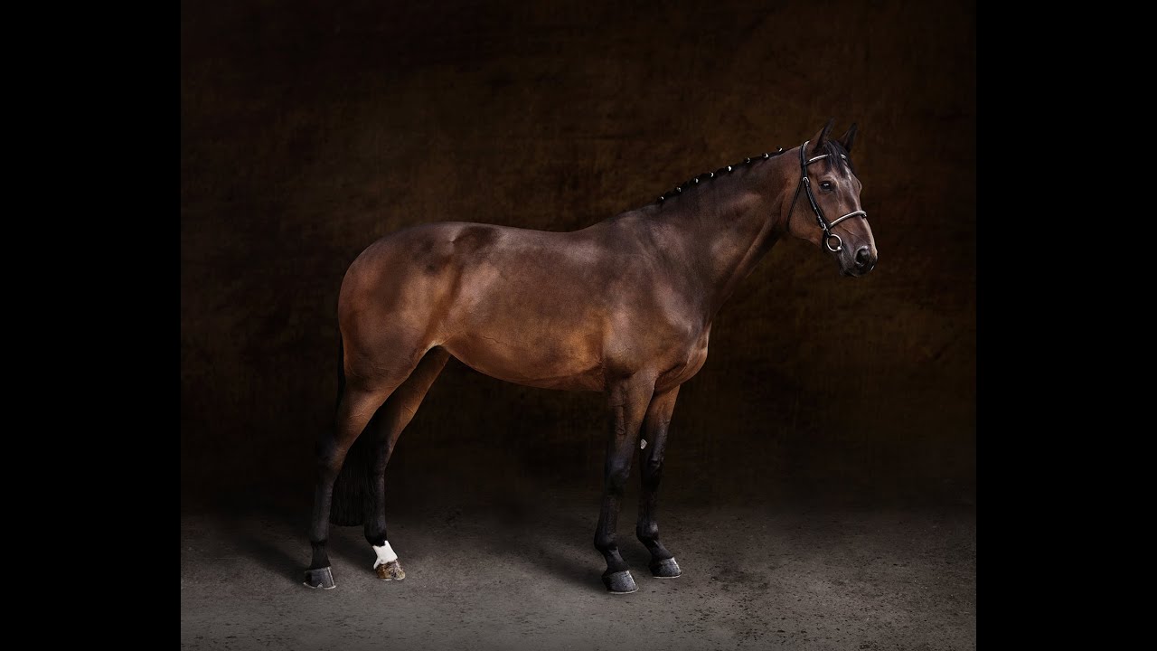 Oki Dora SS: CATOKI x PUCCINI - YouTube