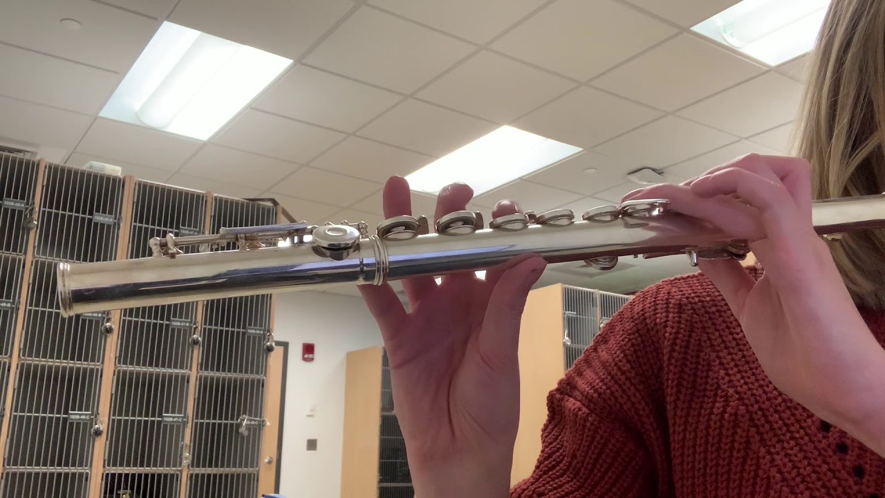 High Hopes - Flute Melody LOW - YouTube