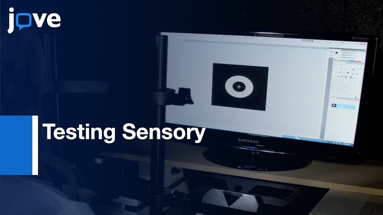 Testing Sensory & Multisensory Function-Children With Autism Spectrum ...