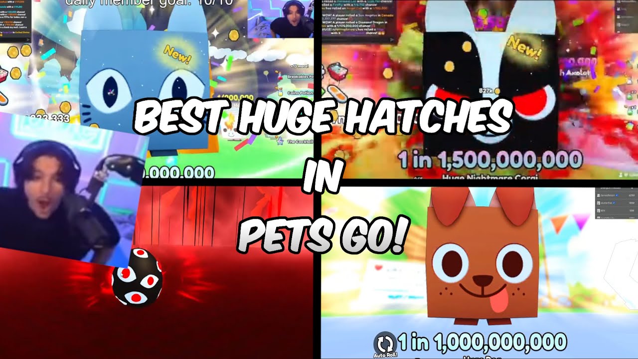 BEST HUGE HATCHES IN PETS GO! (Youtubers) - YouTube