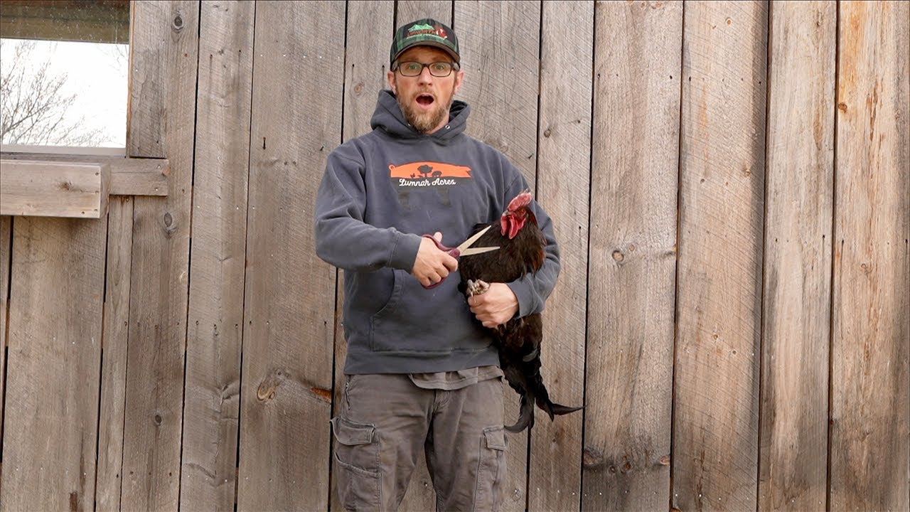 Most Intimidating Job on the Homestead - YouTube