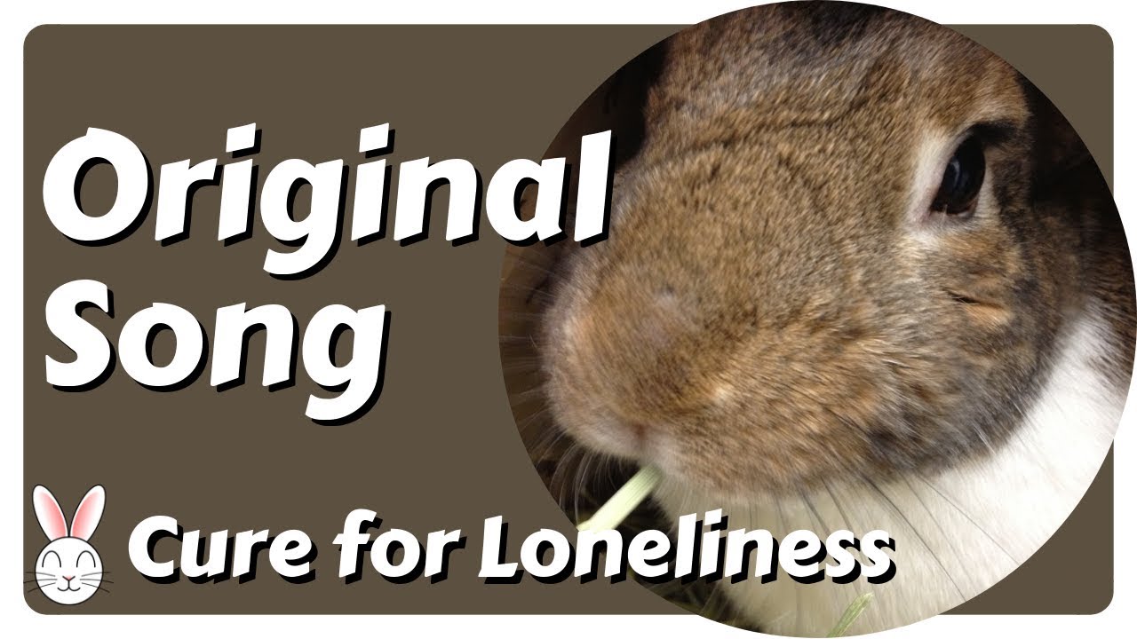 Sad Song For My Pet Bunny - Cure For Loneliness [Original] - YouTube