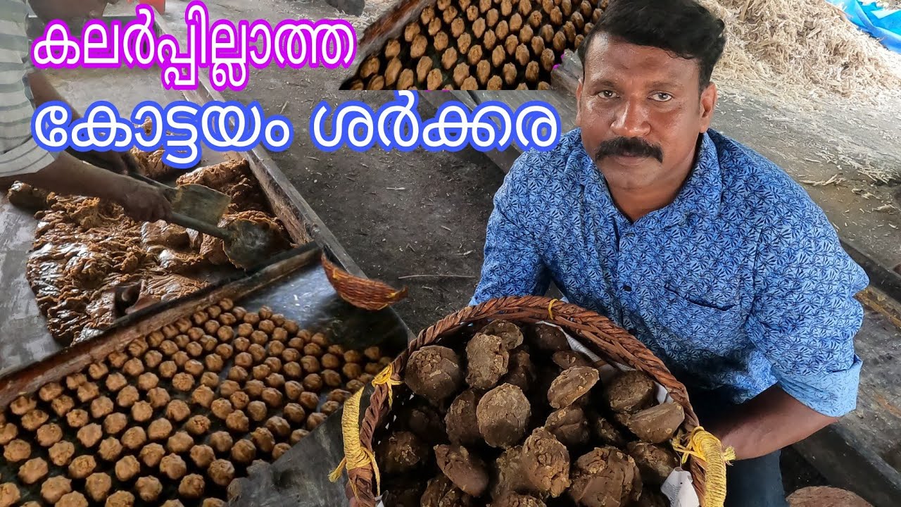 Traditional jaggrey making | How to make sugar cane jaggrey in ...