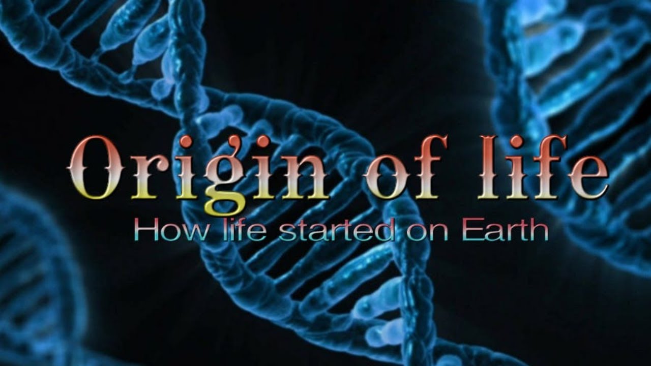 Origin Of Life - How Life Started On Earth & How Earth Is Formed ...