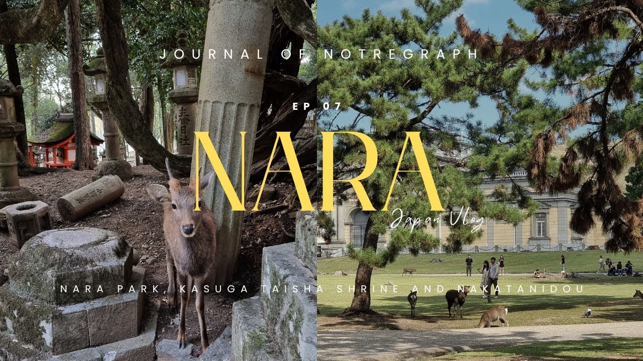 JAPAN VLOG - EP7 NARA - Daytrip to Nara Park, Kasuga Taisha Shrine, and ...