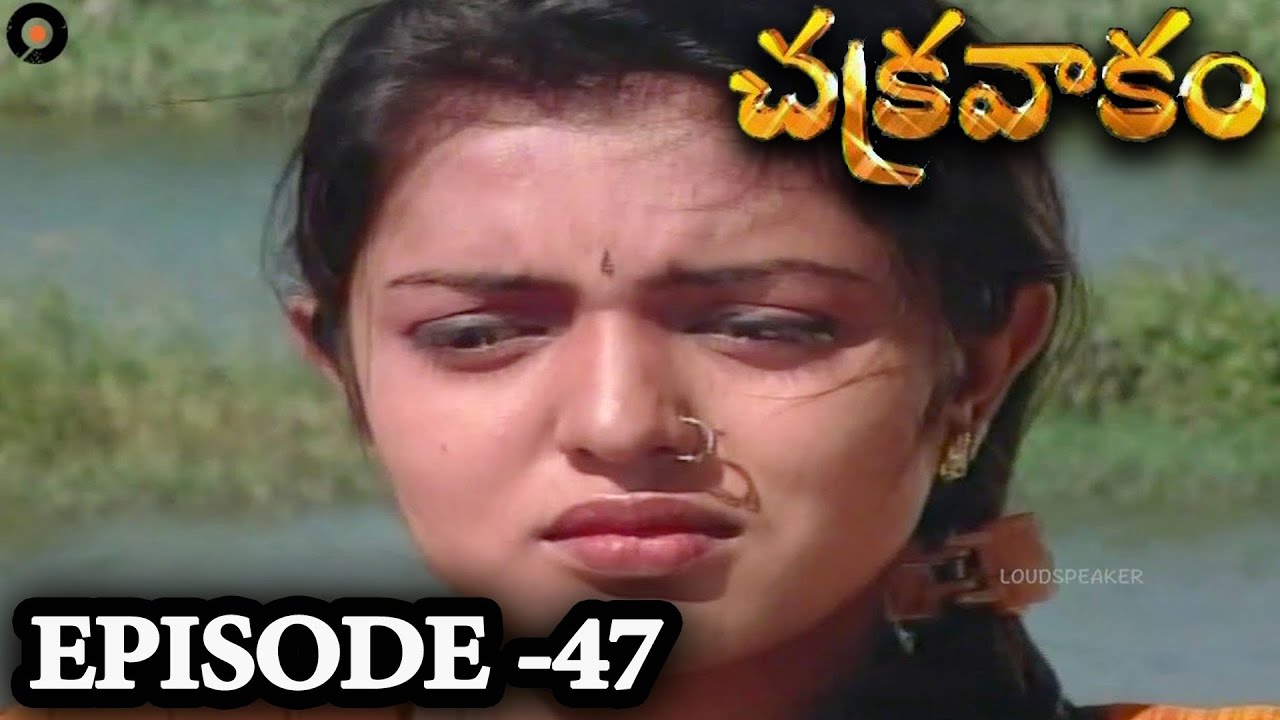 Episode 47 | Chakravakam Telugu Daily Serial - YouTube