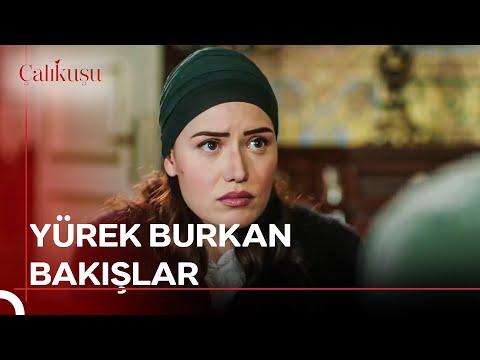 Bu Bakışlar, Yılanı Deliğinden Çıkarır | Çalıkuşu
