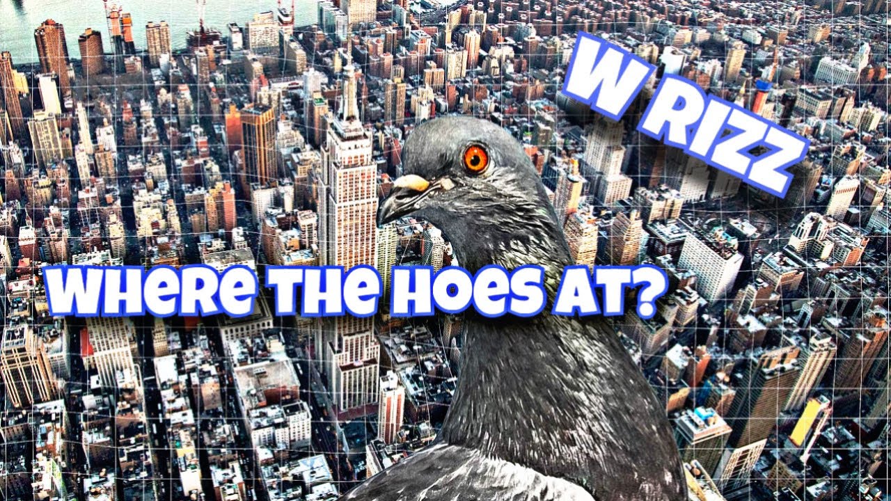 Watch a PIGEON RIZZ UP Vrchat *Girls* MUST WATCH! - YouTube