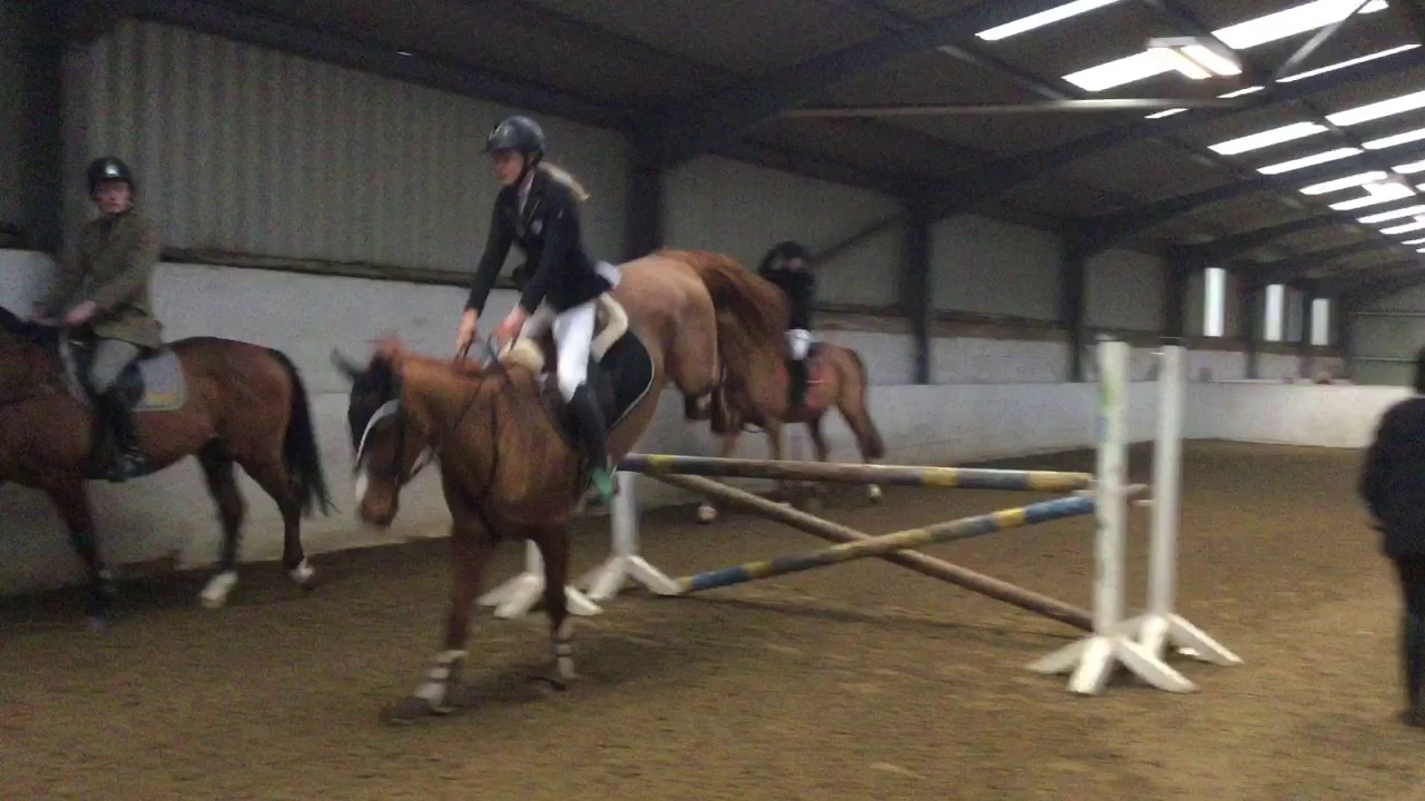 Carrot BSJA Show - YouTube