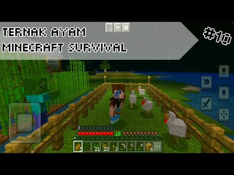Ternak Ayam Minecraft Survival Indonesia - YouTube