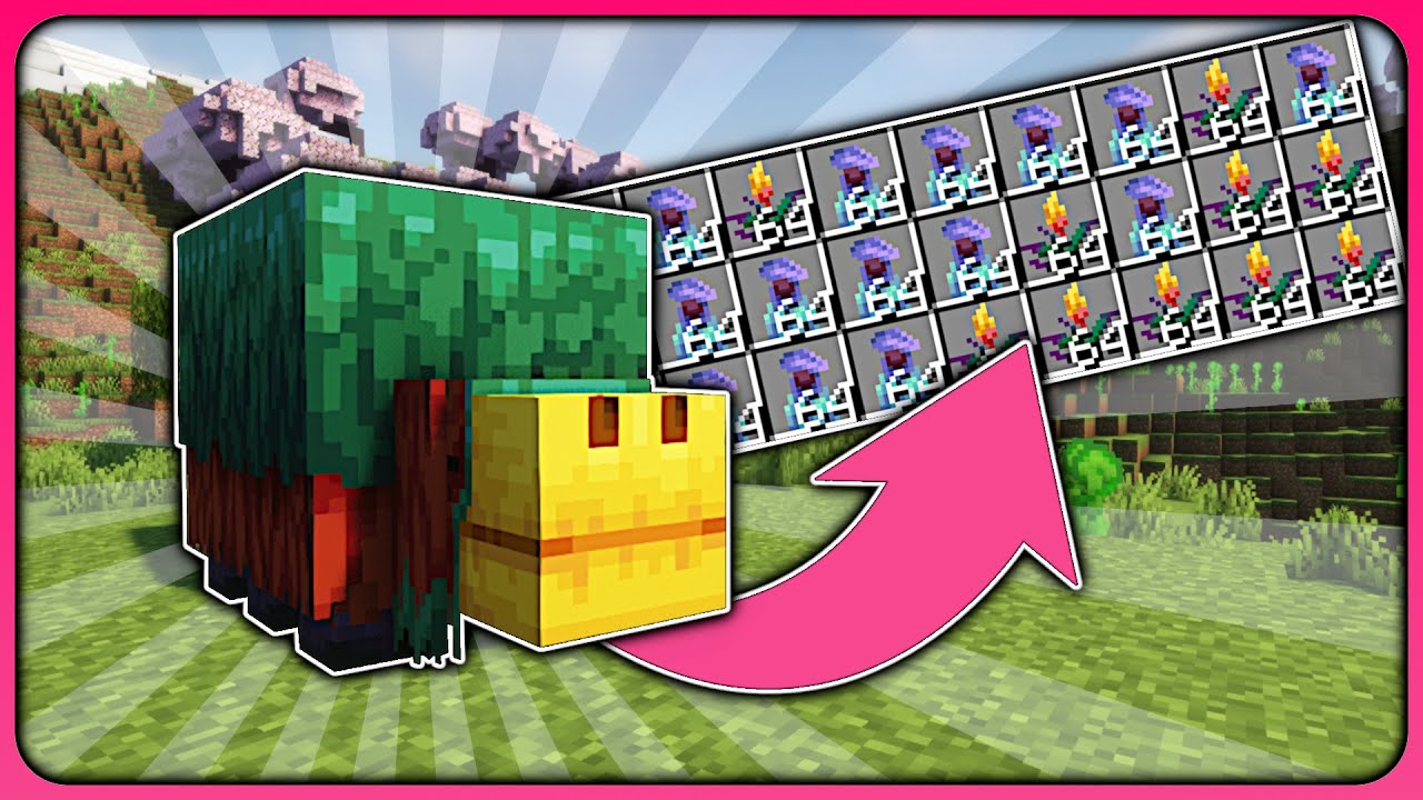 Die BESTE Sniffer Farm in Minecraft 1.21. / Fackellilien Farm - YouTube