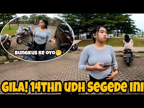 NEMUIN SUBSCRIBER GEMOY BELABELAIN PENGEN KETEMU AKANG MV