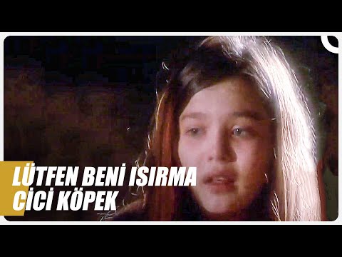 Lamia'ya Köpek Saldırdı! - Üvey Baba 15. Bölüm