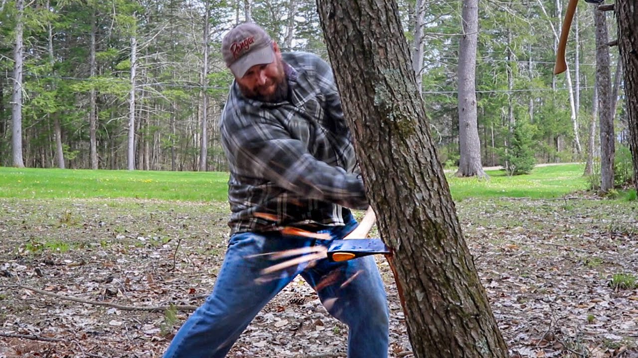 Man Cutting Trees With Axe