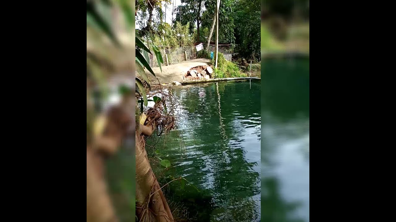 picos spring resort - YouTube