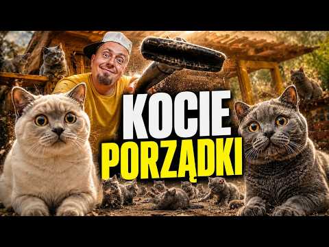 MEGA POŻAR 🔥 konkretne porządki u kotów !