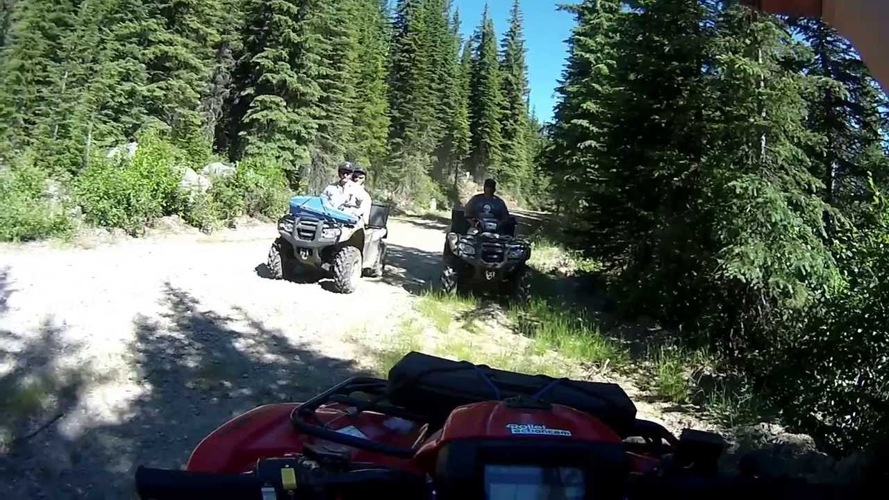 ATV Trail Riding in BC - Day 5 - Incredible Deer Encounter - YouTube