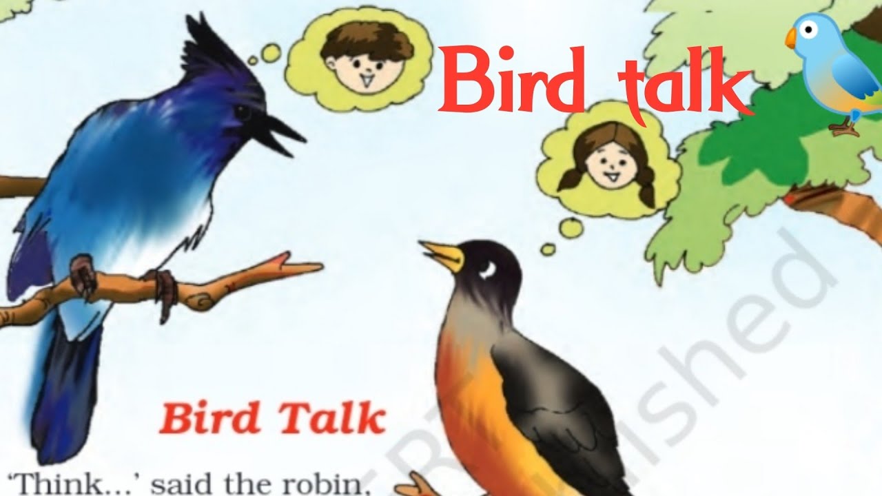 Class 3 English Poem Bird Talk NCERT Recitation Explanation class-3-english-poem-bird-talk-ncert-recitation-explanation