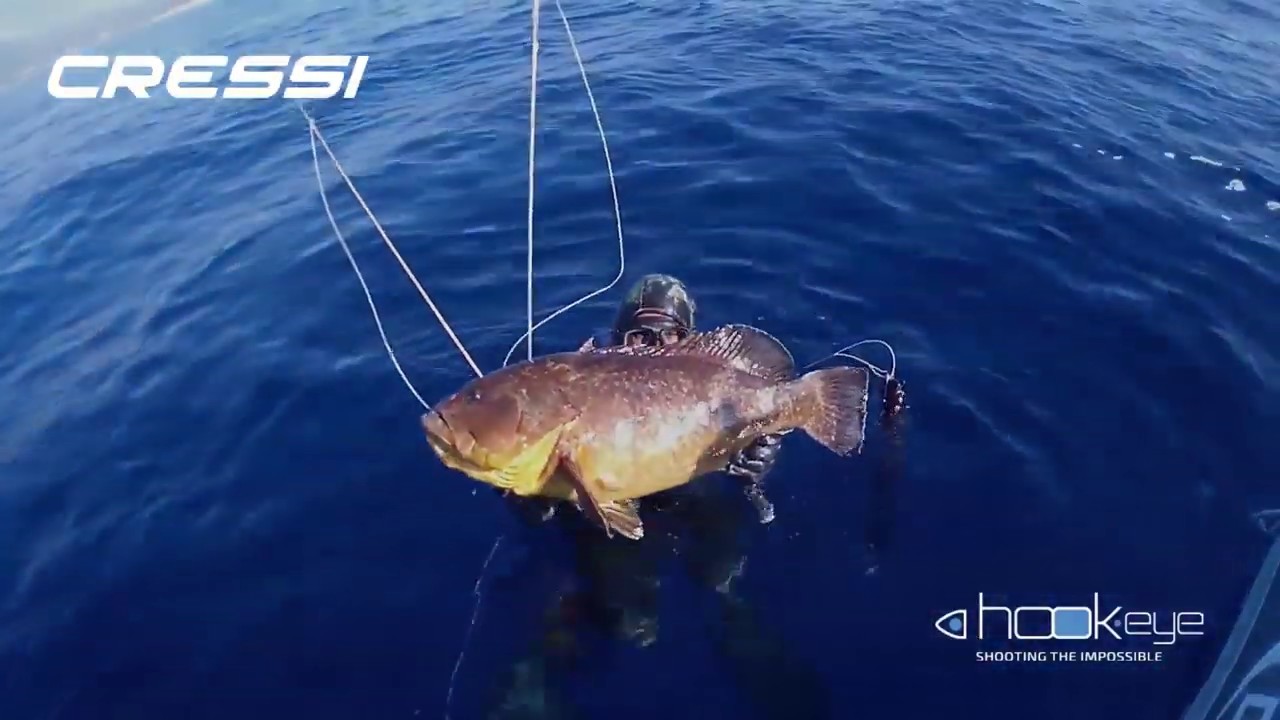 Spearfishing - Big Grouper down to 80ft - YouTube