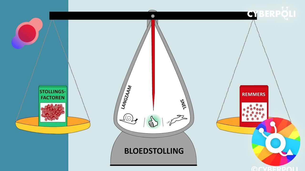 Hoe wordt trombose behandeld? - YouTube