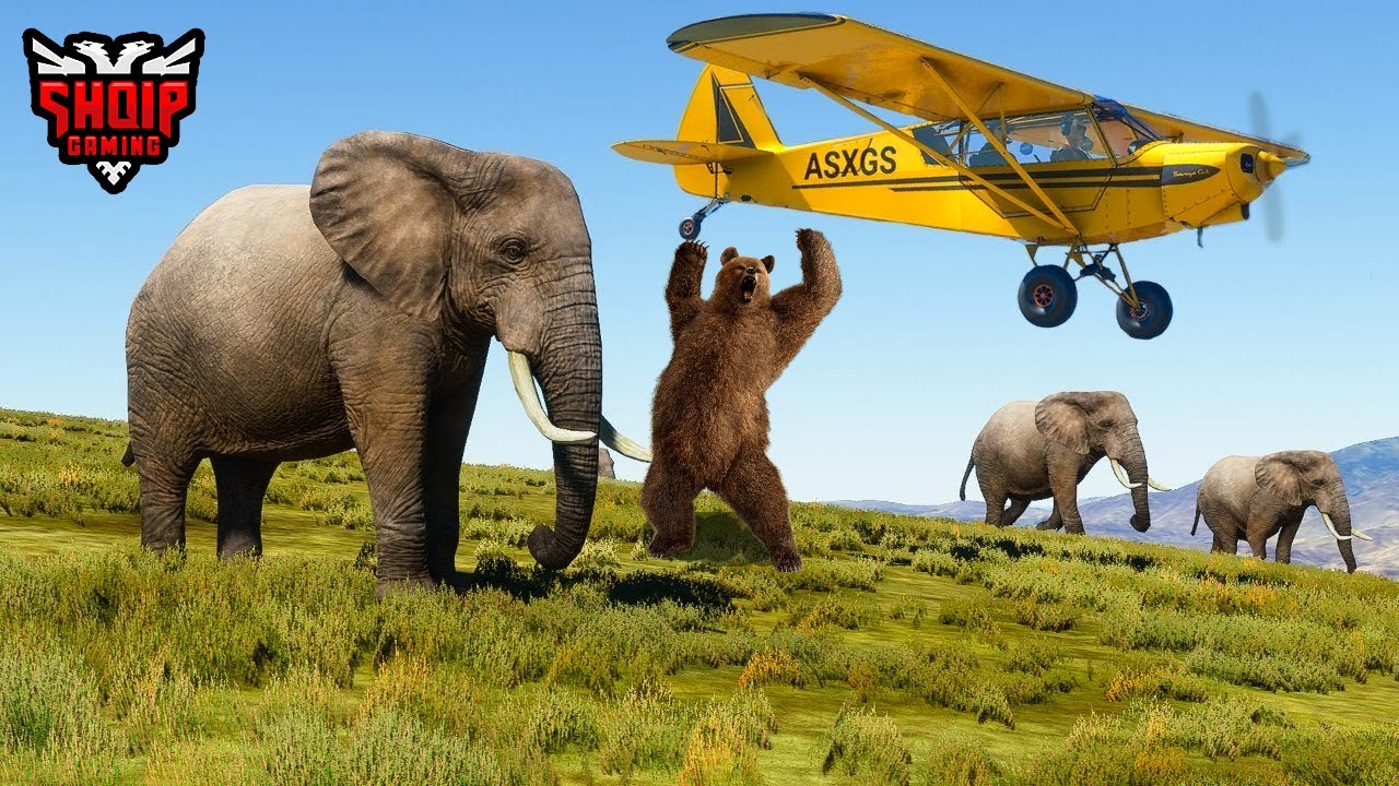 Katuni me Plot Kafsh të Egra !! - SHQIPGaming - YouTube