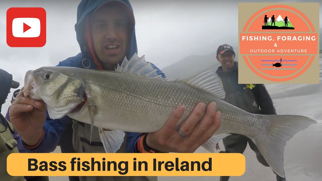 BASS FISHING IN IRELAND - Wild Atlantic Way - YouTube