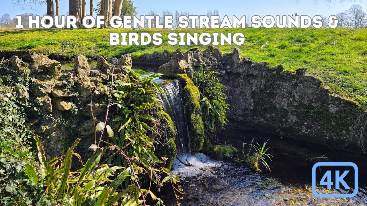 1 Hour of Gentle Stream Sounds in the English Countryside | Calm, Sleep ...