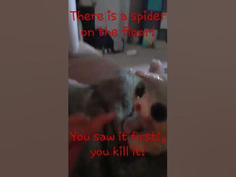 ||Theres a spider on the floor!|| - YouTube