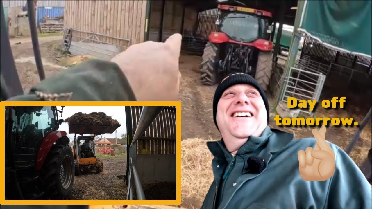 23/12/23 Getting it all done today, so I can have it off tomorrow ...