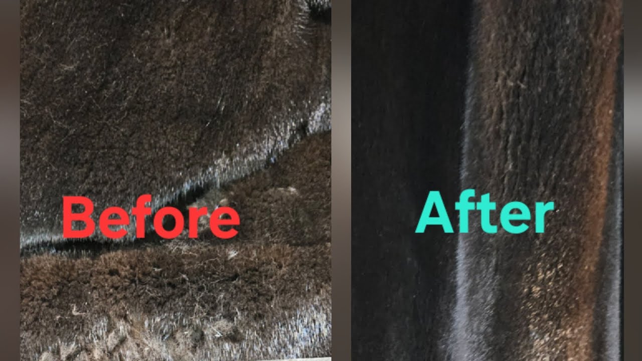 Moth Damage on fur, how to recognize and treat . - YouTube