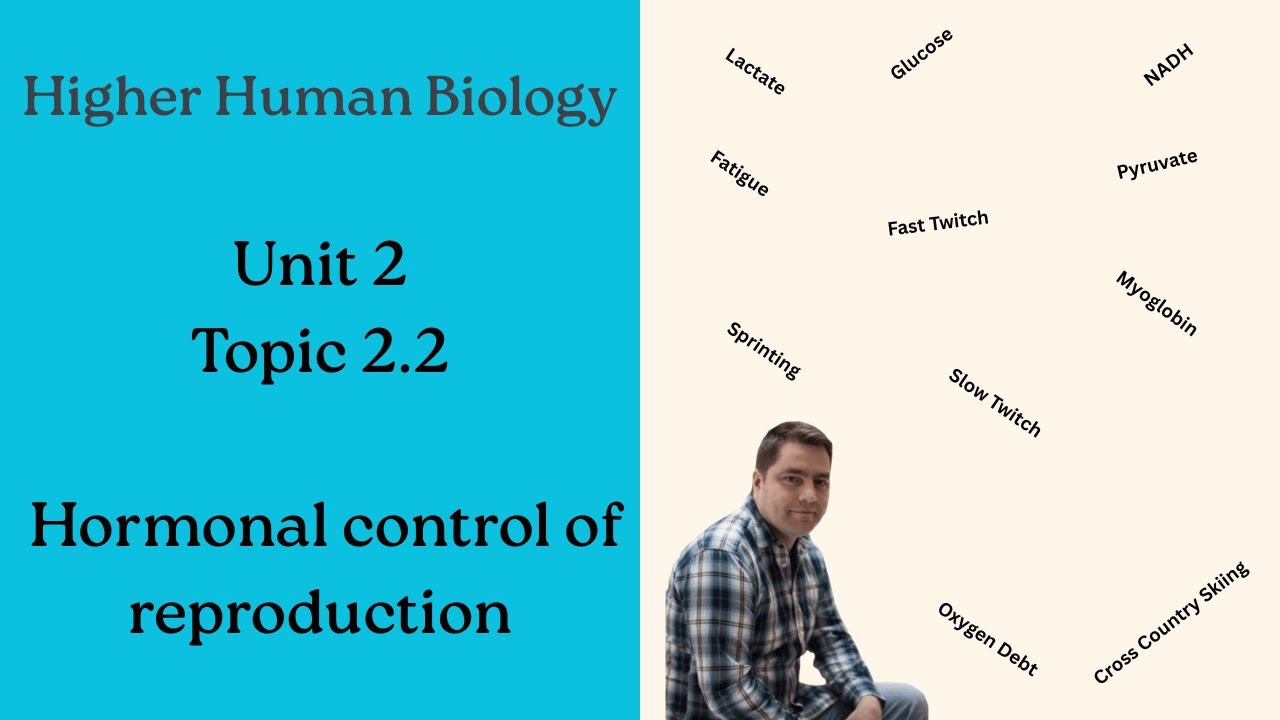 Higher Human Biology: 2.2 Hormonal Control of Reproduction - Full ...