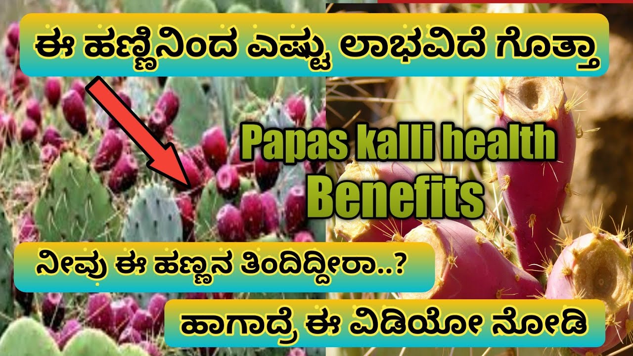 ಈ ಹಣ್ಣುಗಳನ್ನು ತಿಂದ್ರೆ ಏನೆಲ್ಲ ಲಾಭಗಳು ಆಗುತ್ತೆ ಗೊತ್ತಾ|Papas kalli Health ...