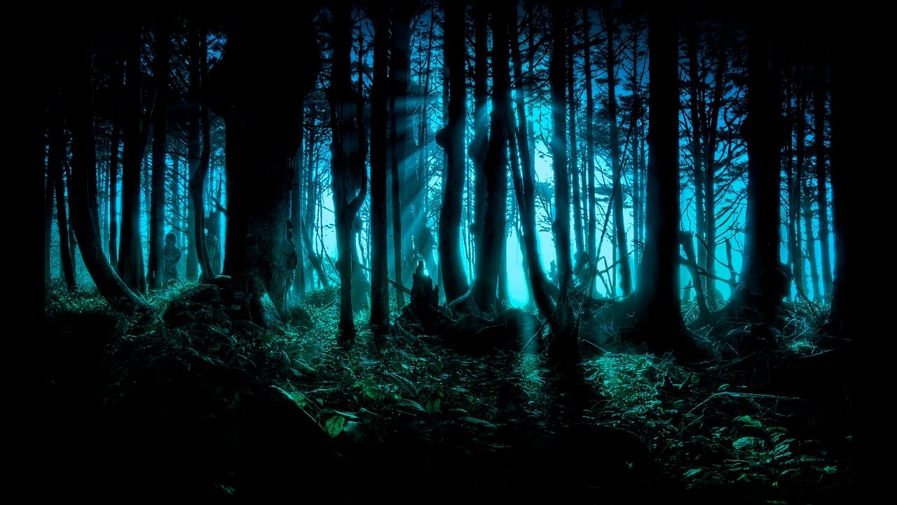 What you need to know about the SCARIEST FORESTS in the world - YouTube