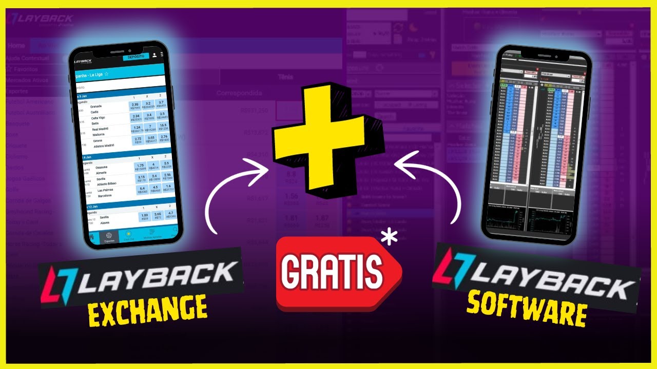 LayBack Exchange + LayBack Software I A integração que ESTAVA faltando ...