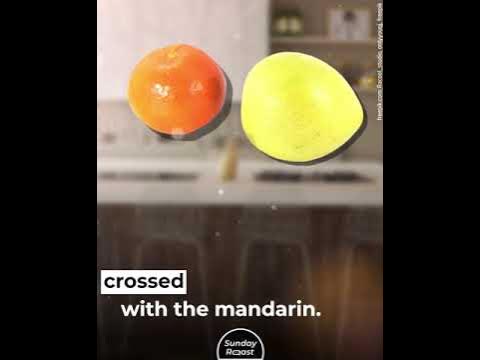 11 Man Made Foods You Thought Were Natural - YouTube