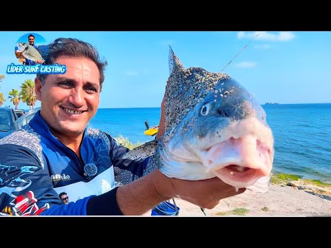 İSTANBUL’DA YAKALANAN EN BÜYÜK MİNEKOP #balıkavı #fishing #MİNEKOP