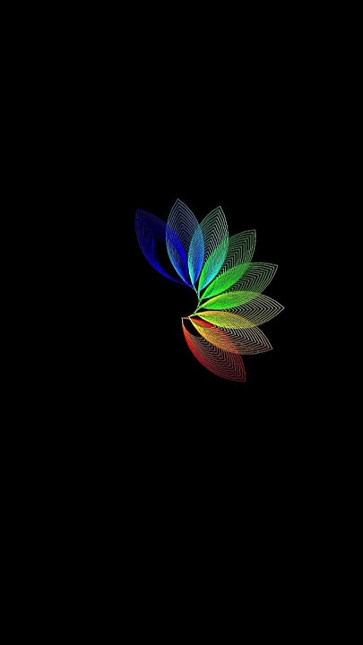 Amazing Flower Design Using Python Turtle Python Pythonprogramming Flowers Coding