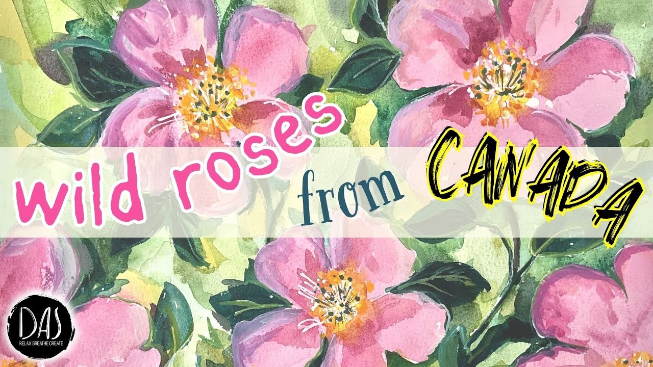 Tutorials using Diane Antone x VHAquarell Watercolors | Diane Antone Studio