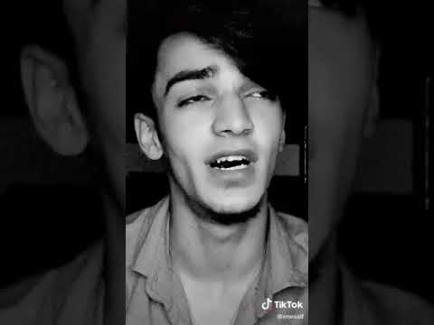 Enesalf TikTok videoları