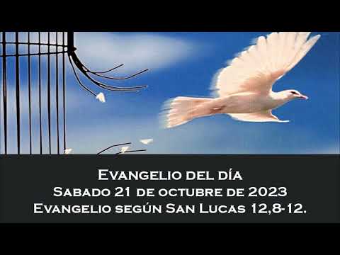 Evangelio del sábado 21 de octubre de 2023