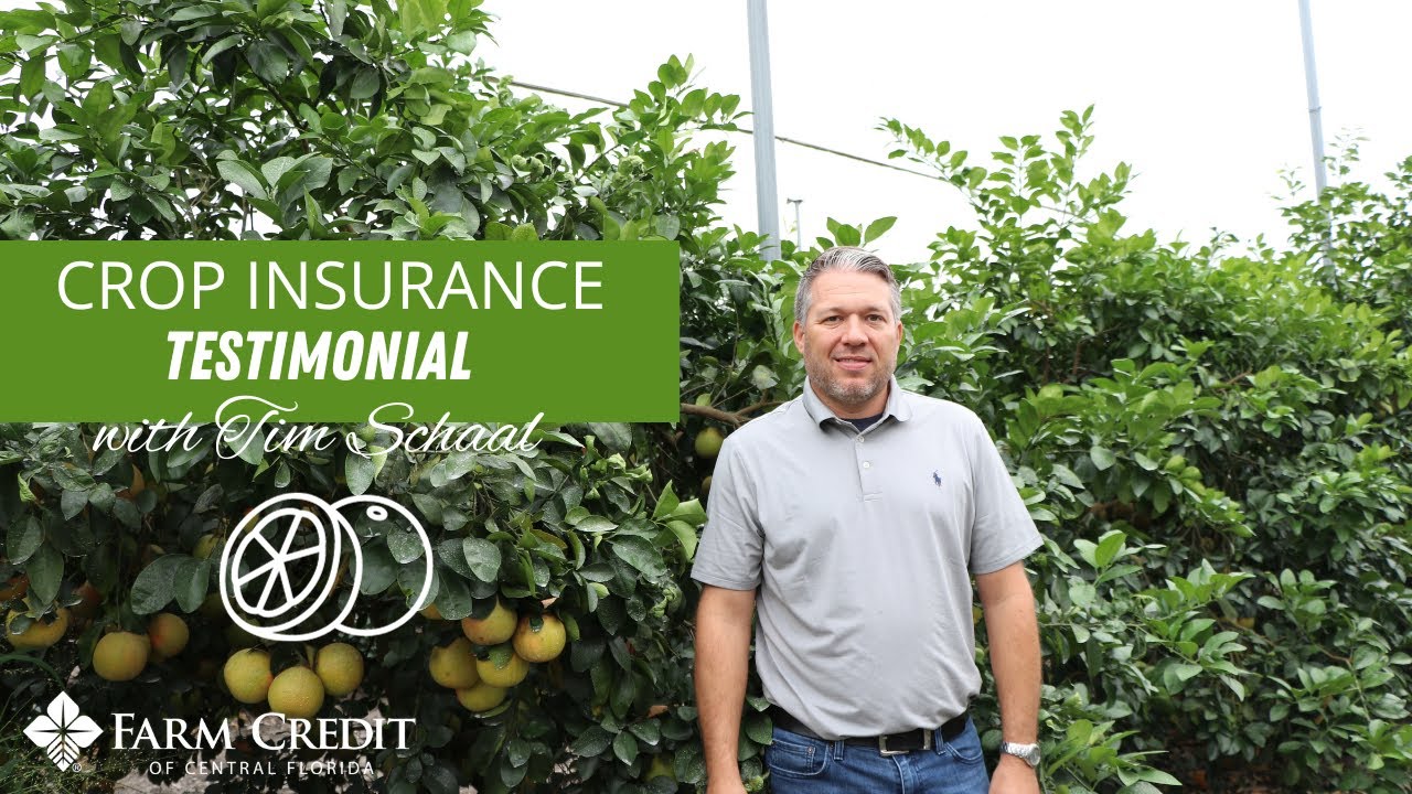 Crop Insurance Testimonial: Tim Schaal - YouTube