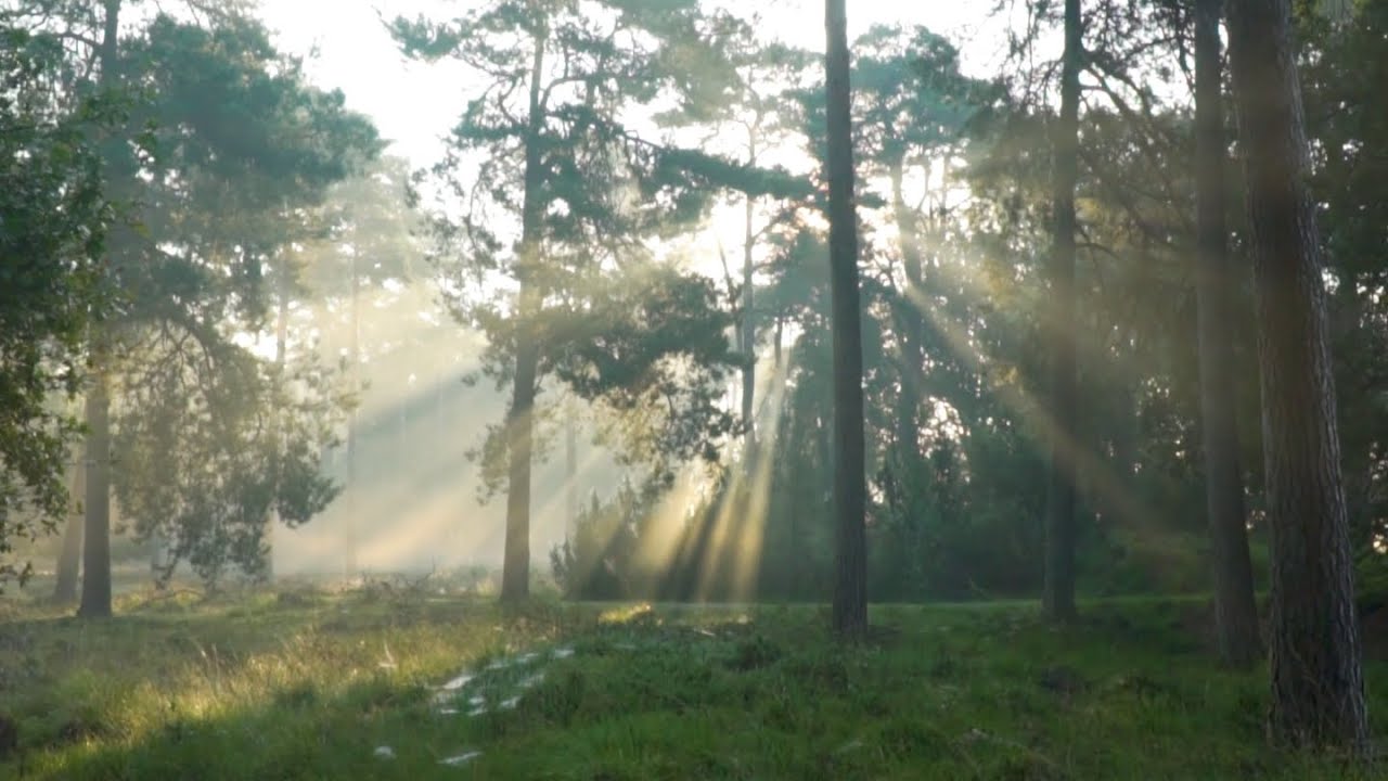 Whispers of the wind !! Guided Meditation with calming video and Audio ...