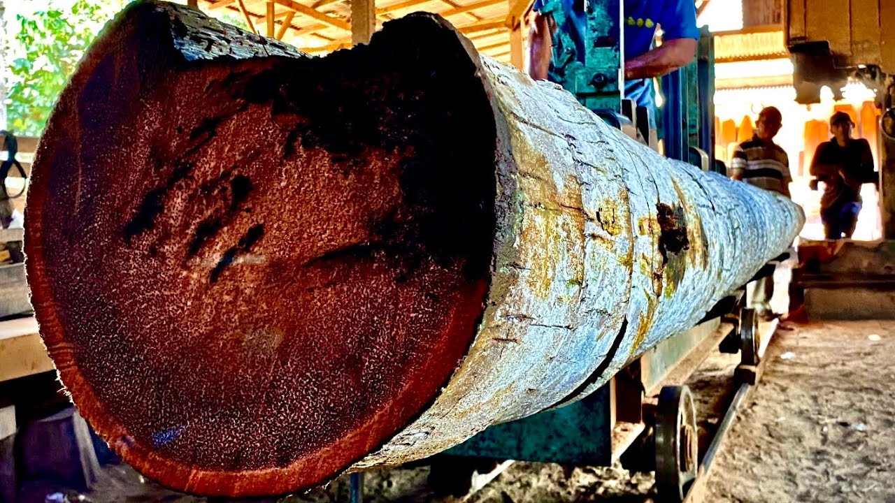 Pabrik penggergajian kayu kelapa untuk wisma: pengerjaan membuat balok ...