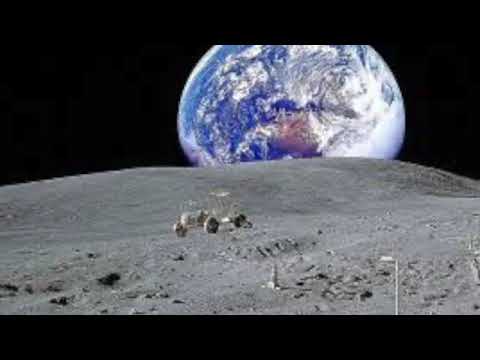 Berni Flint we are not Immune - YouTube