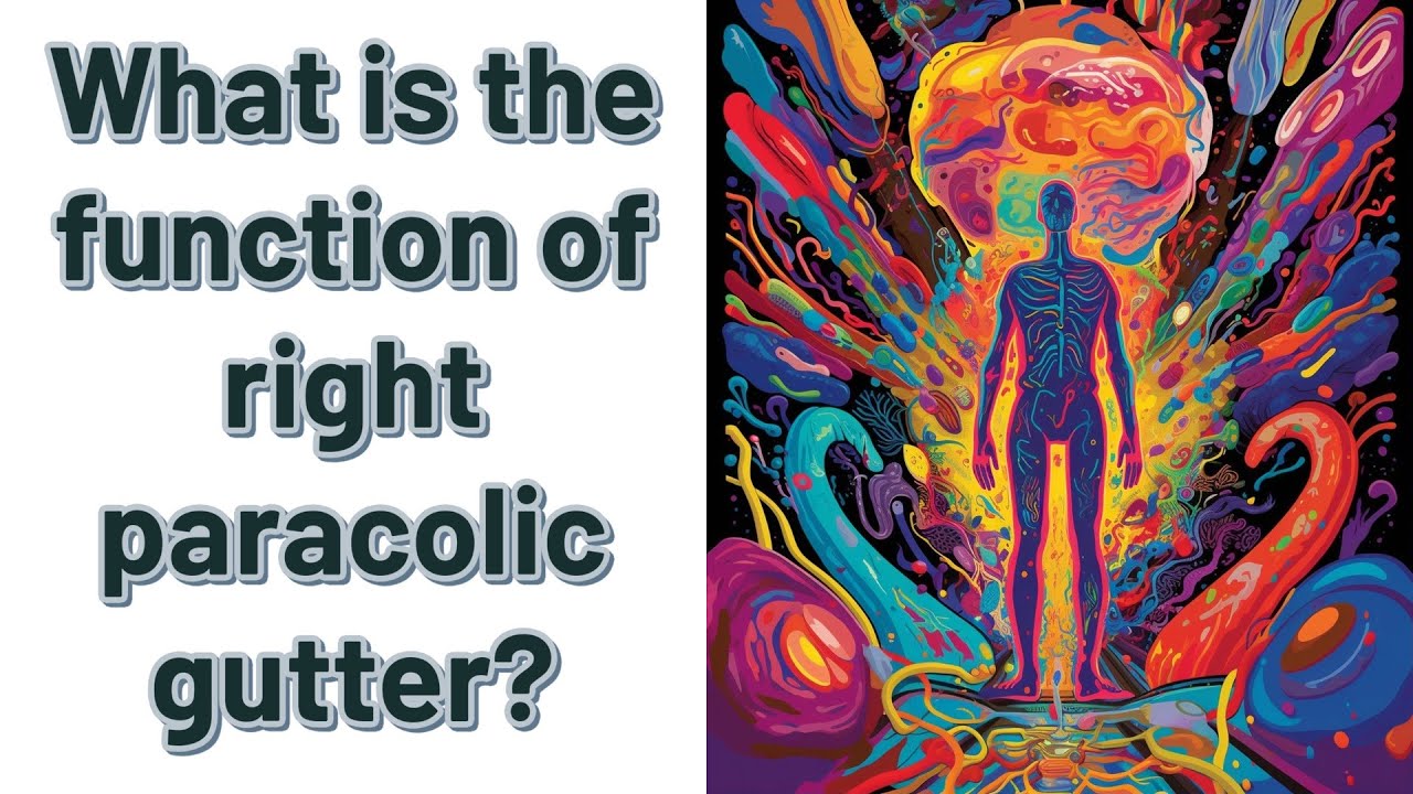 What is the function of right paracolic gutter? - YouTube